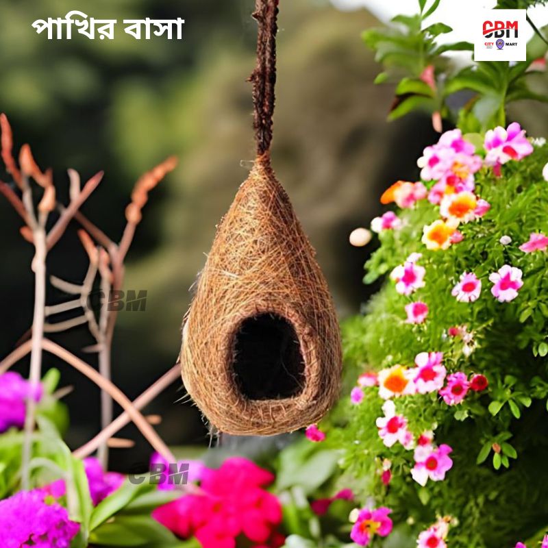 Handmade organic bird nest - Babui Pakhir Basha | Daraz.com.bd