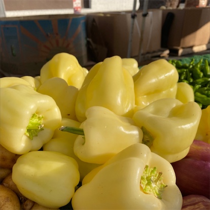White Capsicum Seeds 10+ Pices Rare Color Capsicum Seeds | Daraz.com.bd