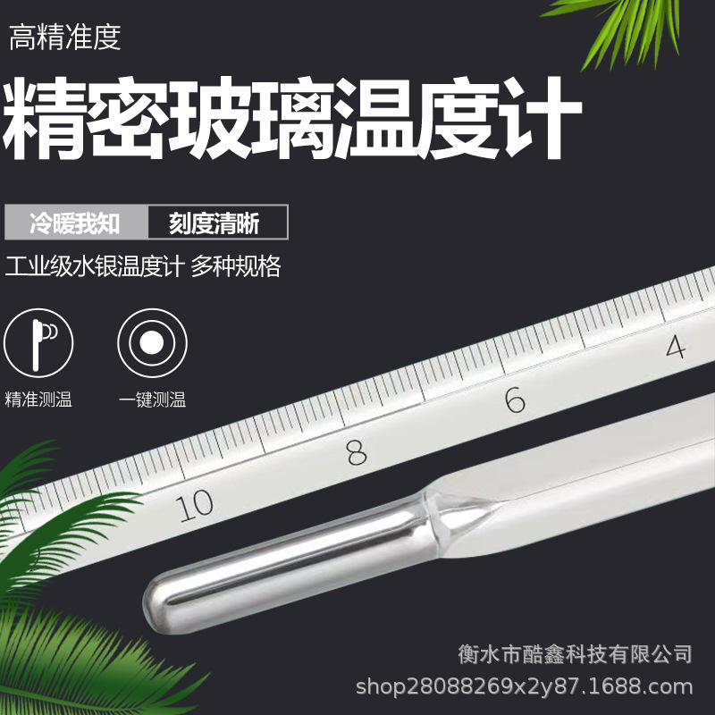 Precision mercury thermometer glass rod type high precision 0.10.2 ...