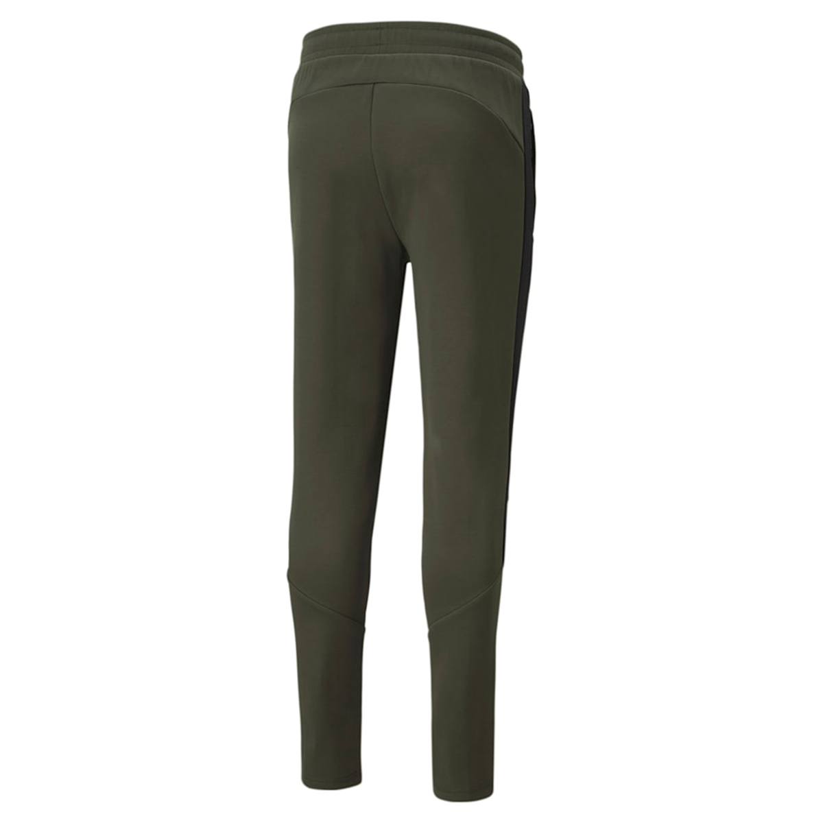 Puma Forest Night Apparel Evostripe Pants For Men