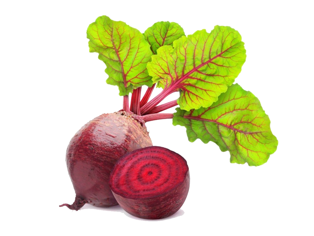 Beet Root Seeds Hybrid 1gm Re-Pack | Daraz.com.bd