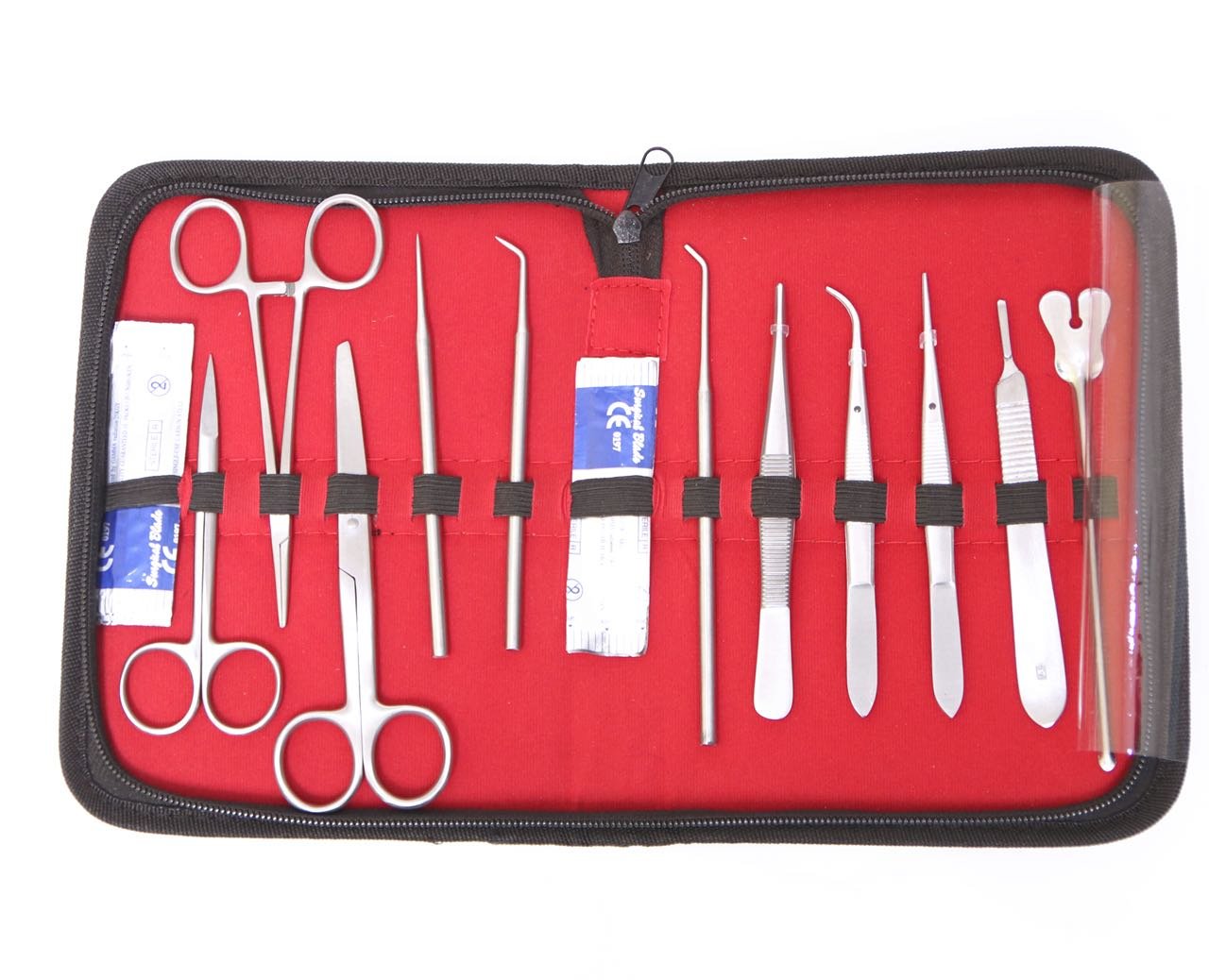 Dissection Biology Box for Medical Students Anatomy Laboratory Use ...