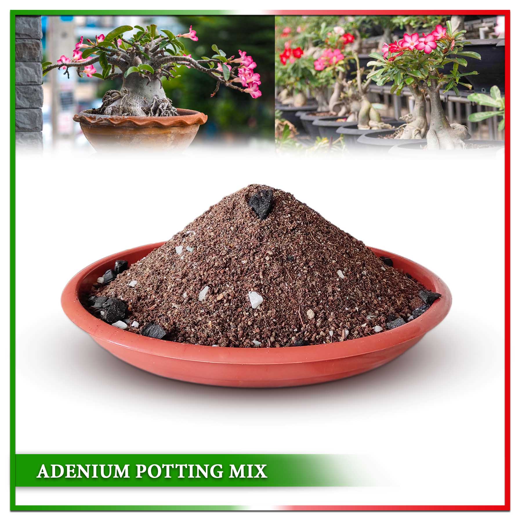 Adenium Soil Mix (Premium) - 3 kg | Daraz.com.bd