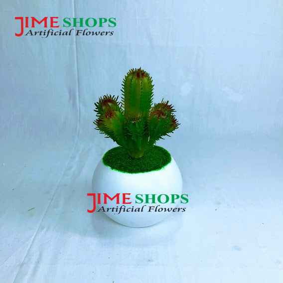 Artificial Rubber Cactus Plant In Small Plastic Tob 6 inc For ...
