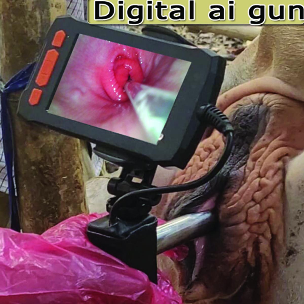 digital ai tools for cattle | Daraz.com.bd