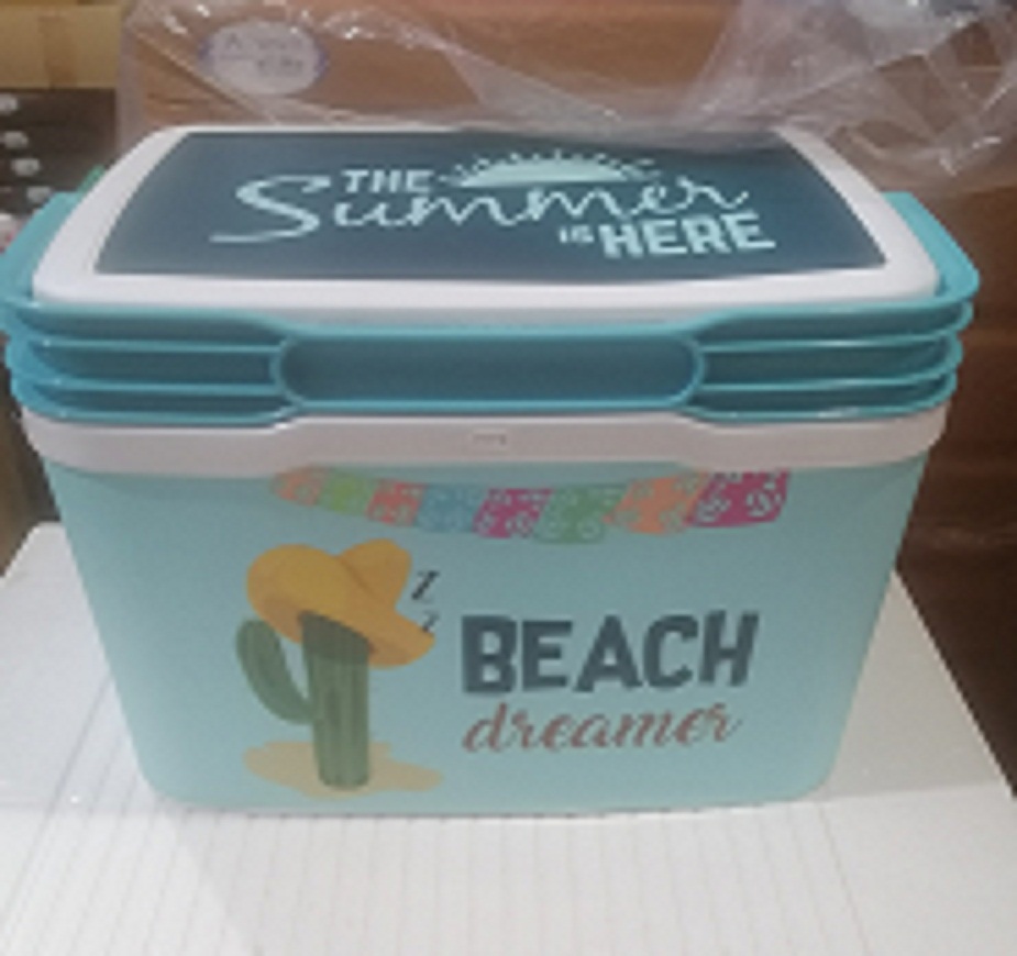 R.F.L Thermal Ice Box Food-grade -5 L | Daraz.com.bd