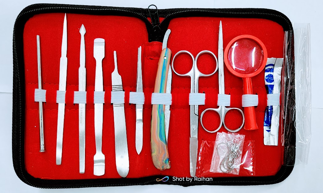 Dissection Biology Box for Medical Students Anatomy Laboratory Use ...