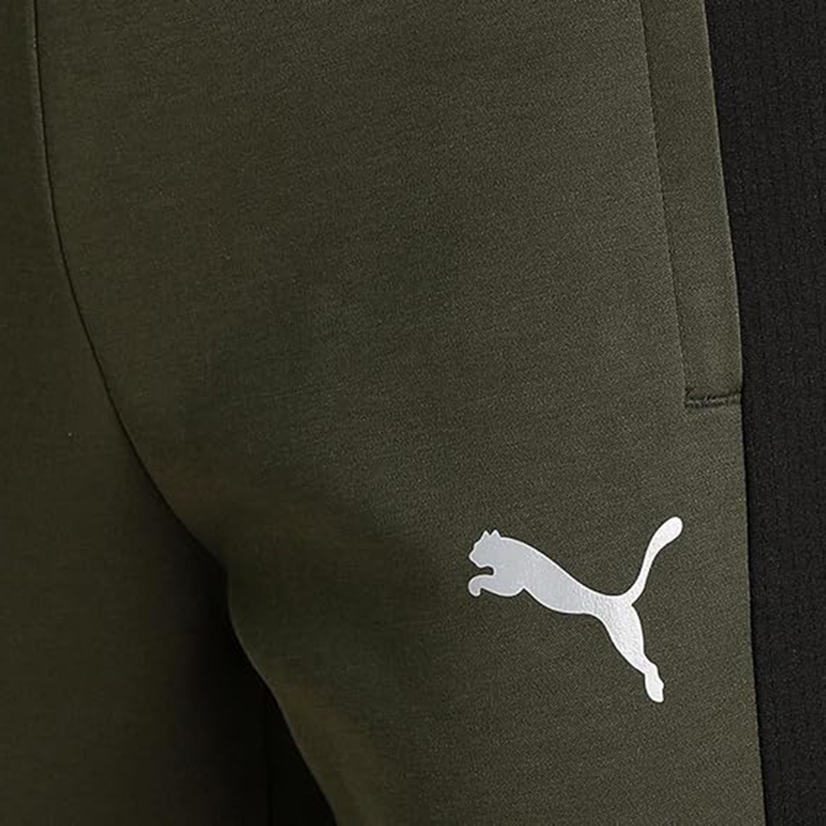 Puma Forest Night Apparel Evostripe Pants For Men