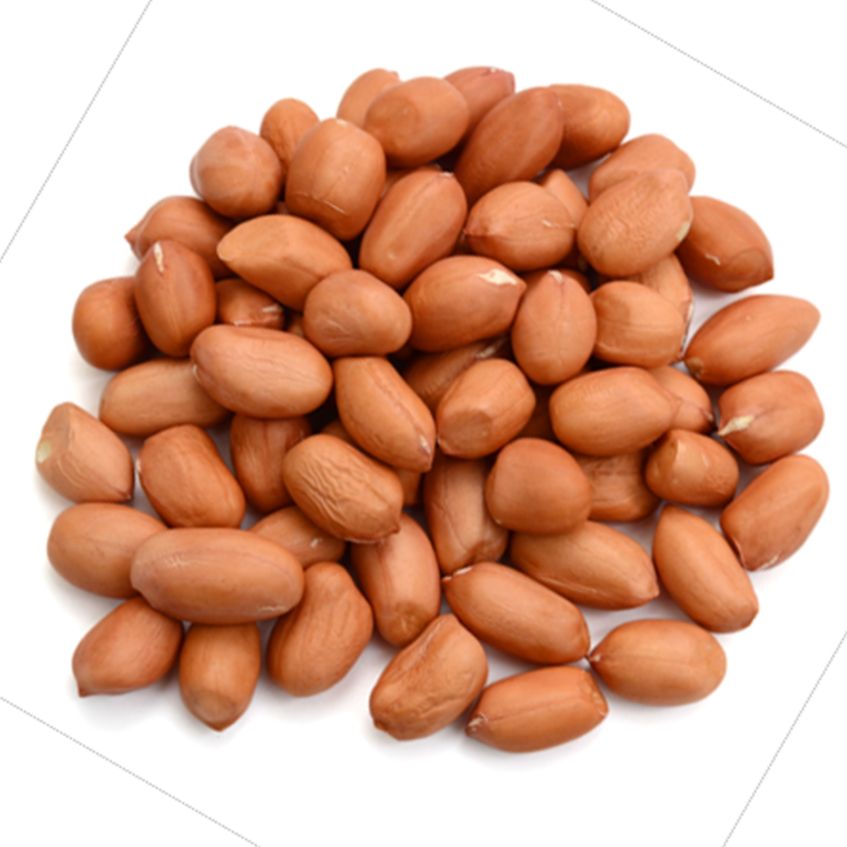 Pea-nuts Fresh Natural Premium Quality (China Badam) 500g | Daraz.com.bd