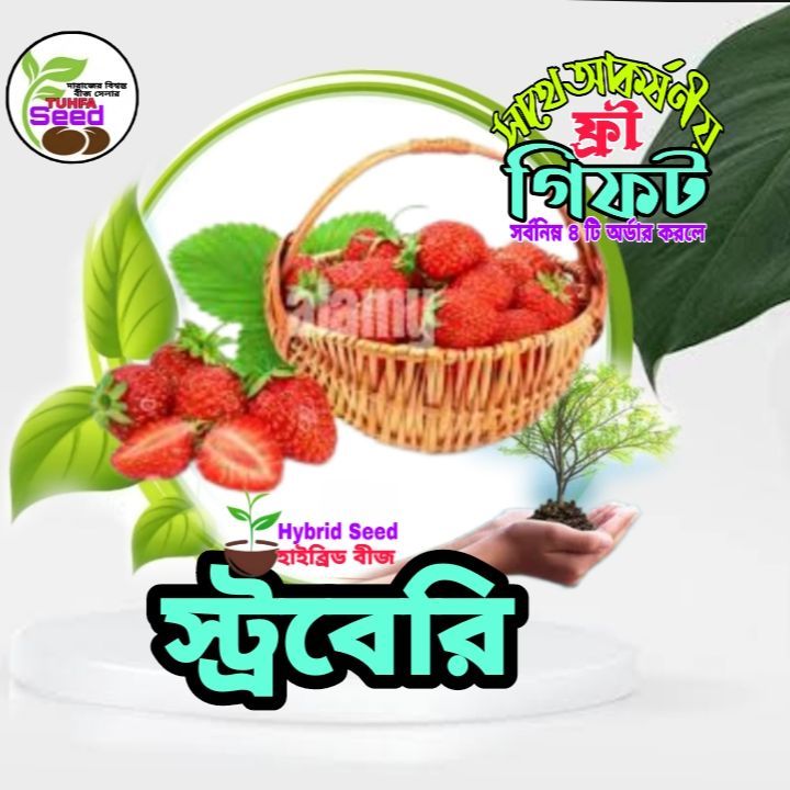 Hybrid strawberry seeds 10 pcs | Daraz.com.bd