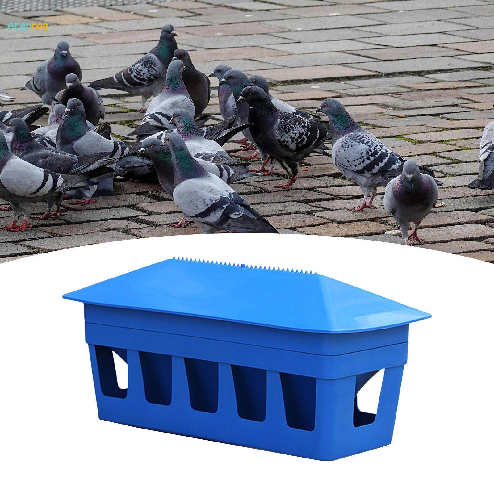 Pigeon Feeder Drinking Dispenser Detachable Food Dispenser Bird ...