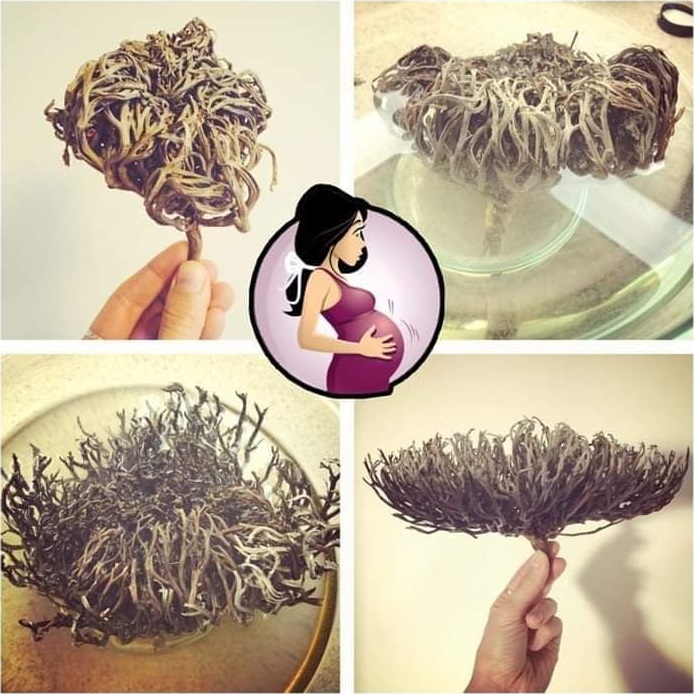 Marium Flower for women. | Daraz.com.bd