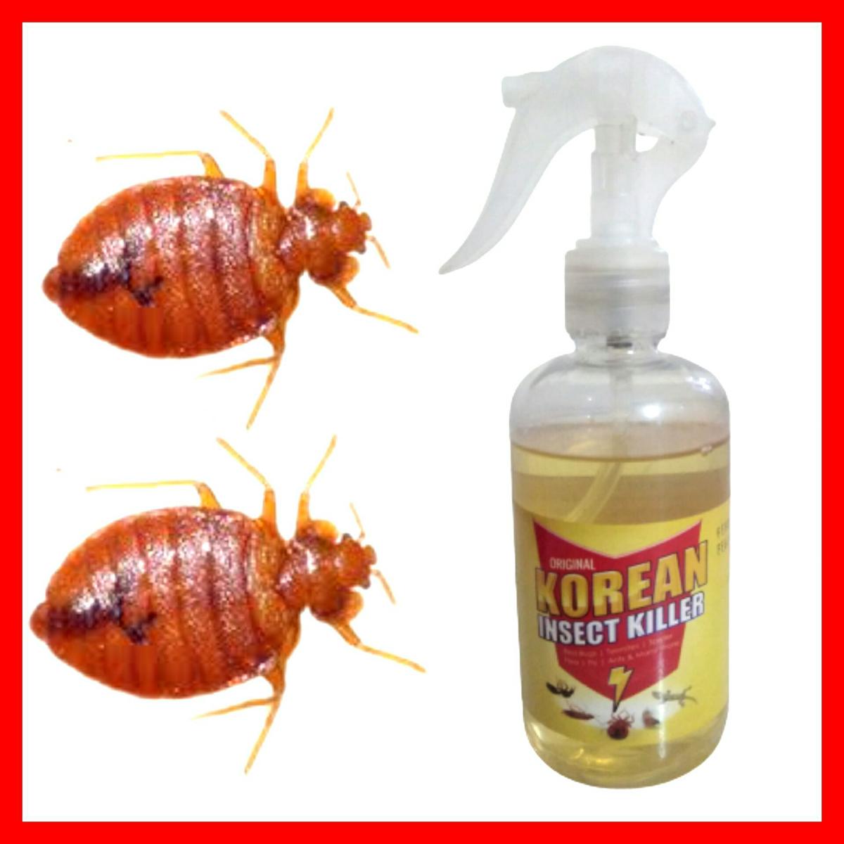 Korean insect killerSpray, 250ml 100% Effective. | Daraz.com.bd