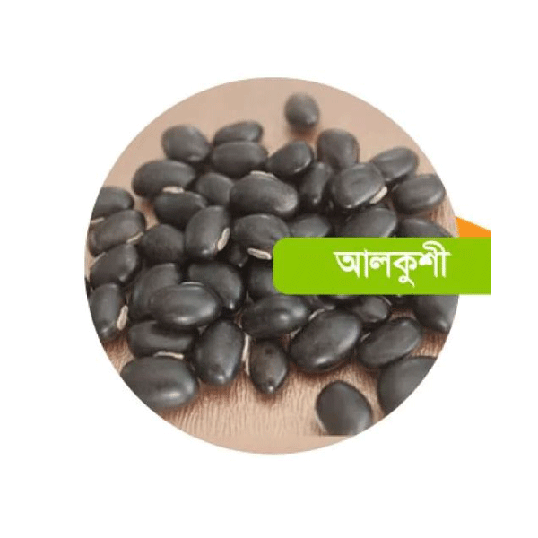 Alkushi seed, Alkushi (250 gram) | Daraz.com.bd