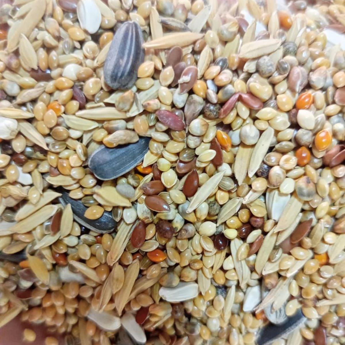 Seed mix for birds 1kg | Daraz.com.bd