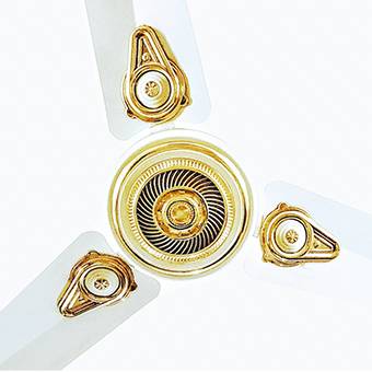 Kashmir Gold Ceiling Fan. 56 (1400mm). 3 Blade. | Daraz.com.bd