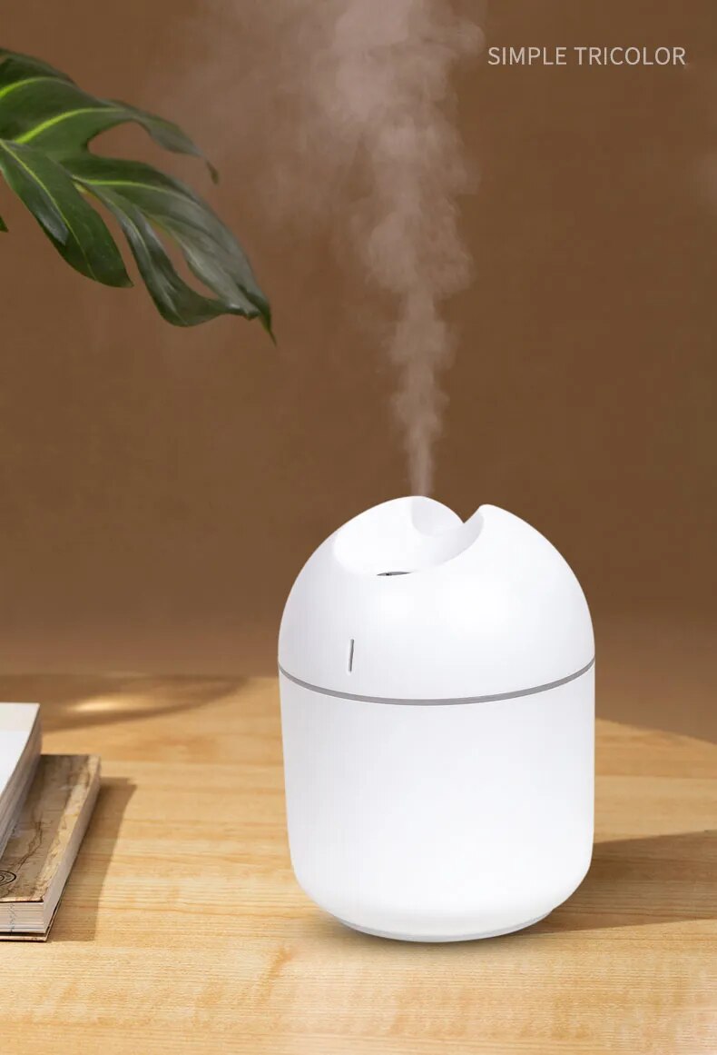 Electric Air Humidifier Mini Ultrasonic With LED Light USB Essential ...