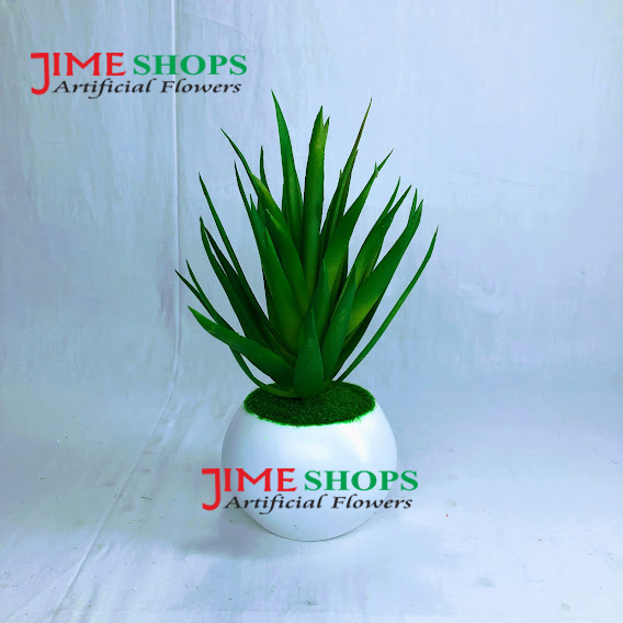 Artificial Rubber Cactus Plant In Small Plastic Tob 6 inc For ...