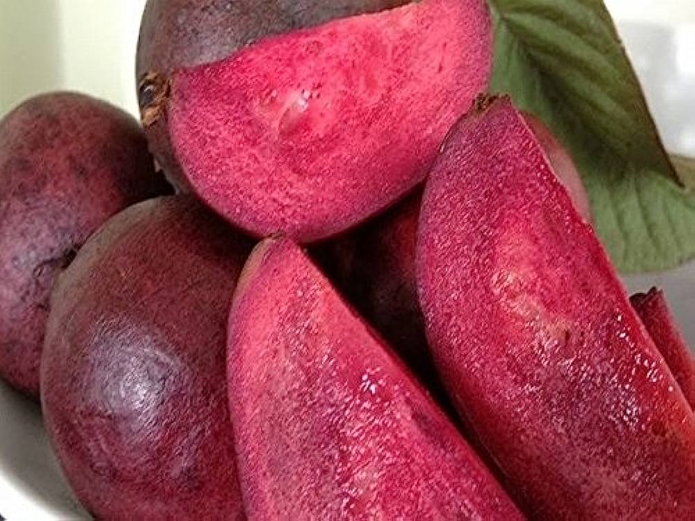 Thai Red Guava 25pcs seeds | Daraz.com.bd