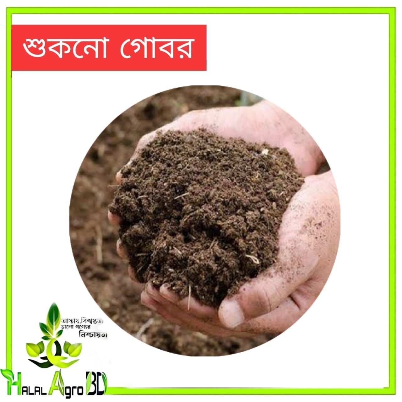 Cow Dung Dust 5KGZero Moisture organic fertilizer - Great Value ...