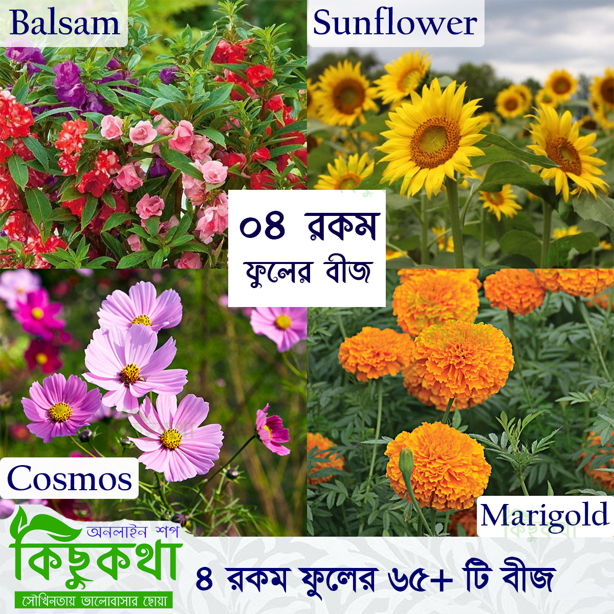 4 Type Flower Seed Combo Pack - Total 65+ Seed of Cosmos, Marigold ...