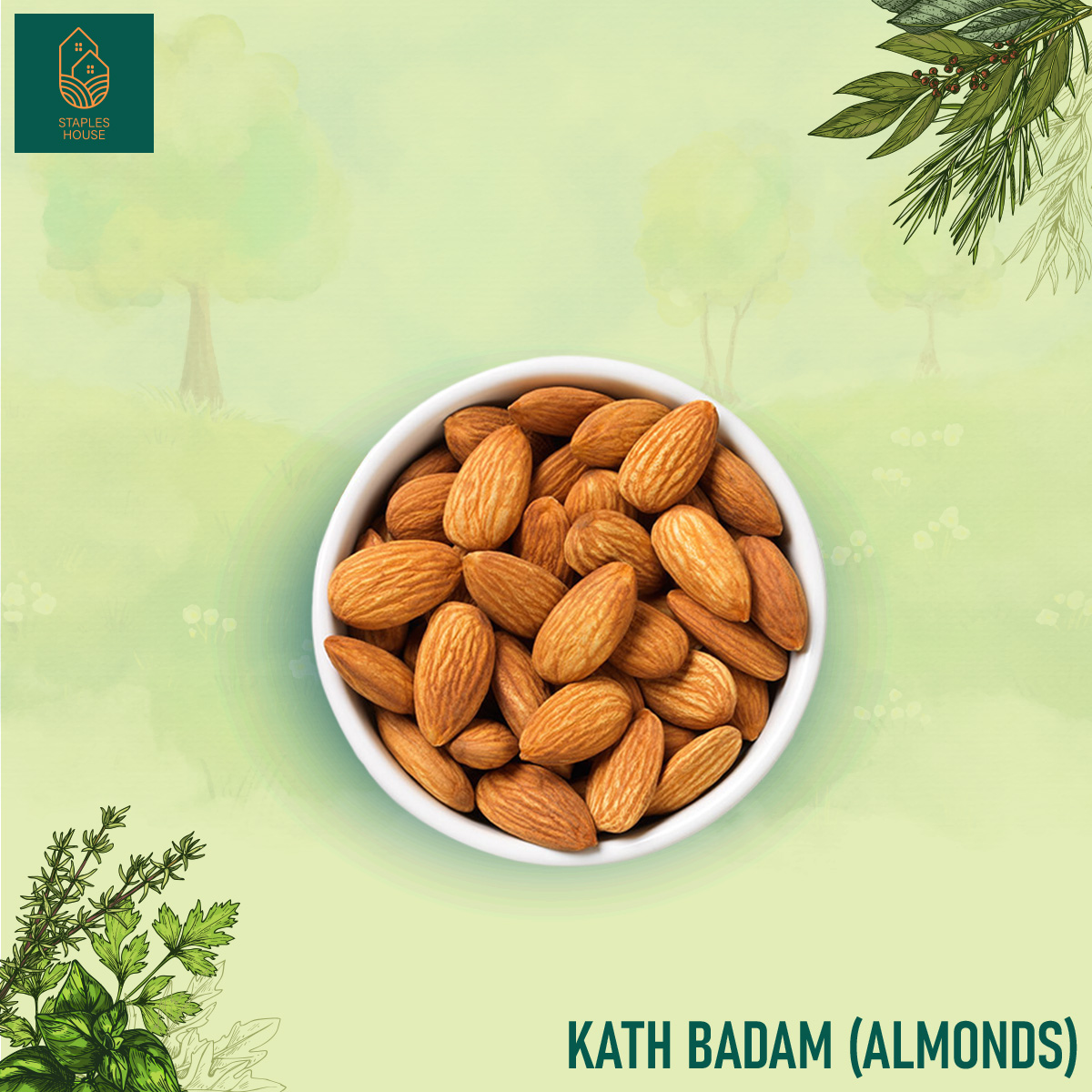 Staples House Products at 25% Off on Daraz | Buy Online