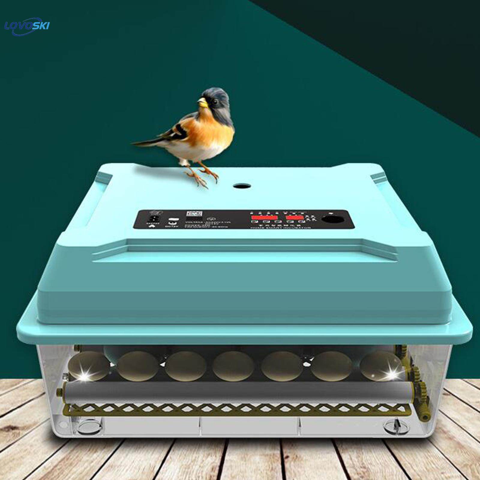 Egg Improved Hatching Automatic Turn Eggs for Hatching Goose Quail 30 ...