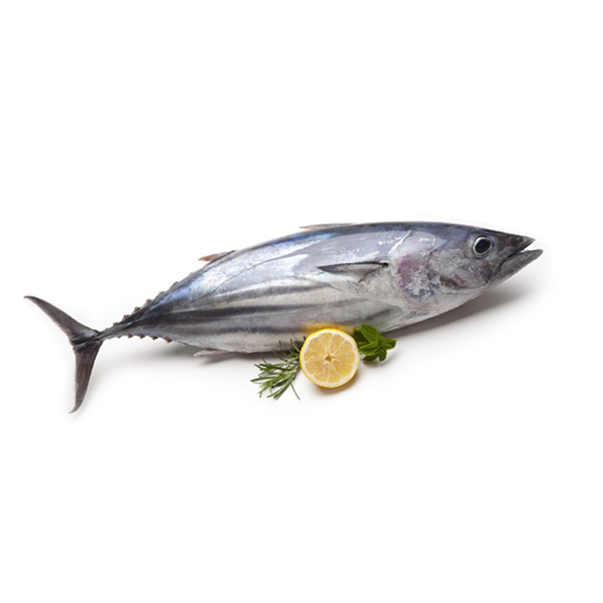 Fresh Sea Fish Tuna 500g | Daraz.com.bd