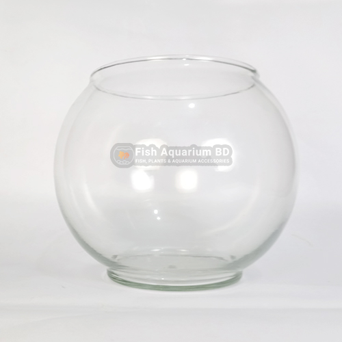 Fighter Fish Jar Transparent Fish Glass Bowl or Jar 4 inch Betta Fish ...