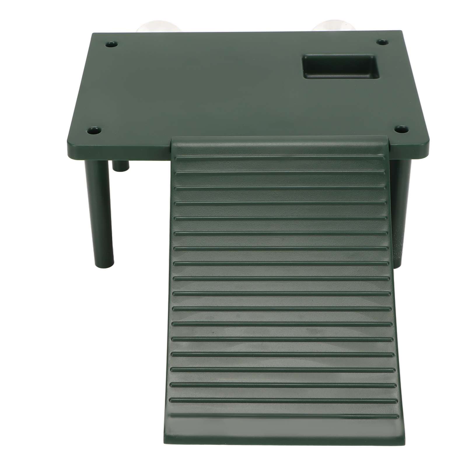 Tortoise Resting Terrace Basking Platform ABS Exercise Climbing Ability ...