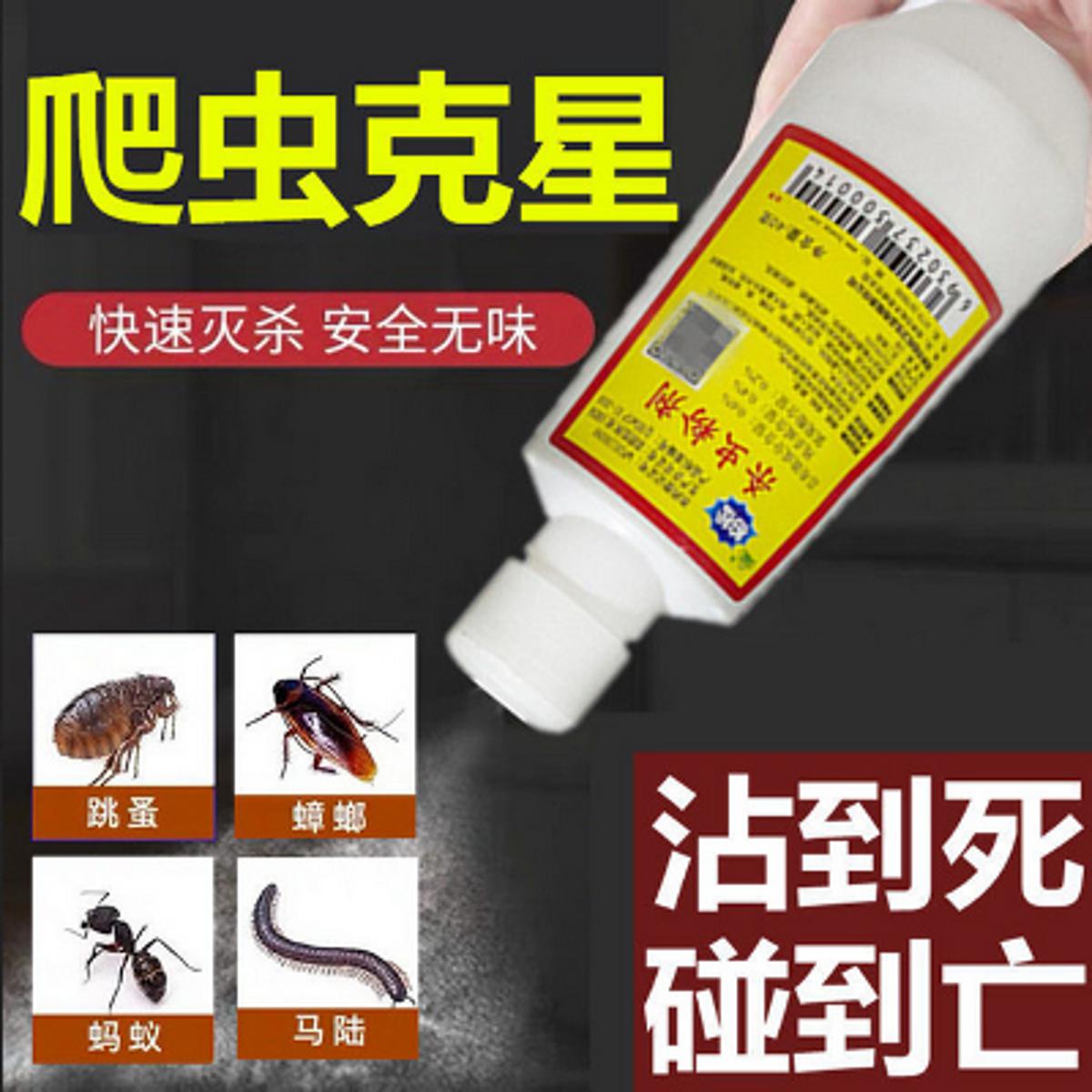 Insecticide powder to kill Bed Bug(CharPoka) | Daraz.com.bd