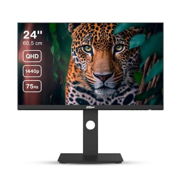 Dahua DHI-LM24-P301A 24 Inch FHD IPS Borderless Monitor | Daraz.com.bd