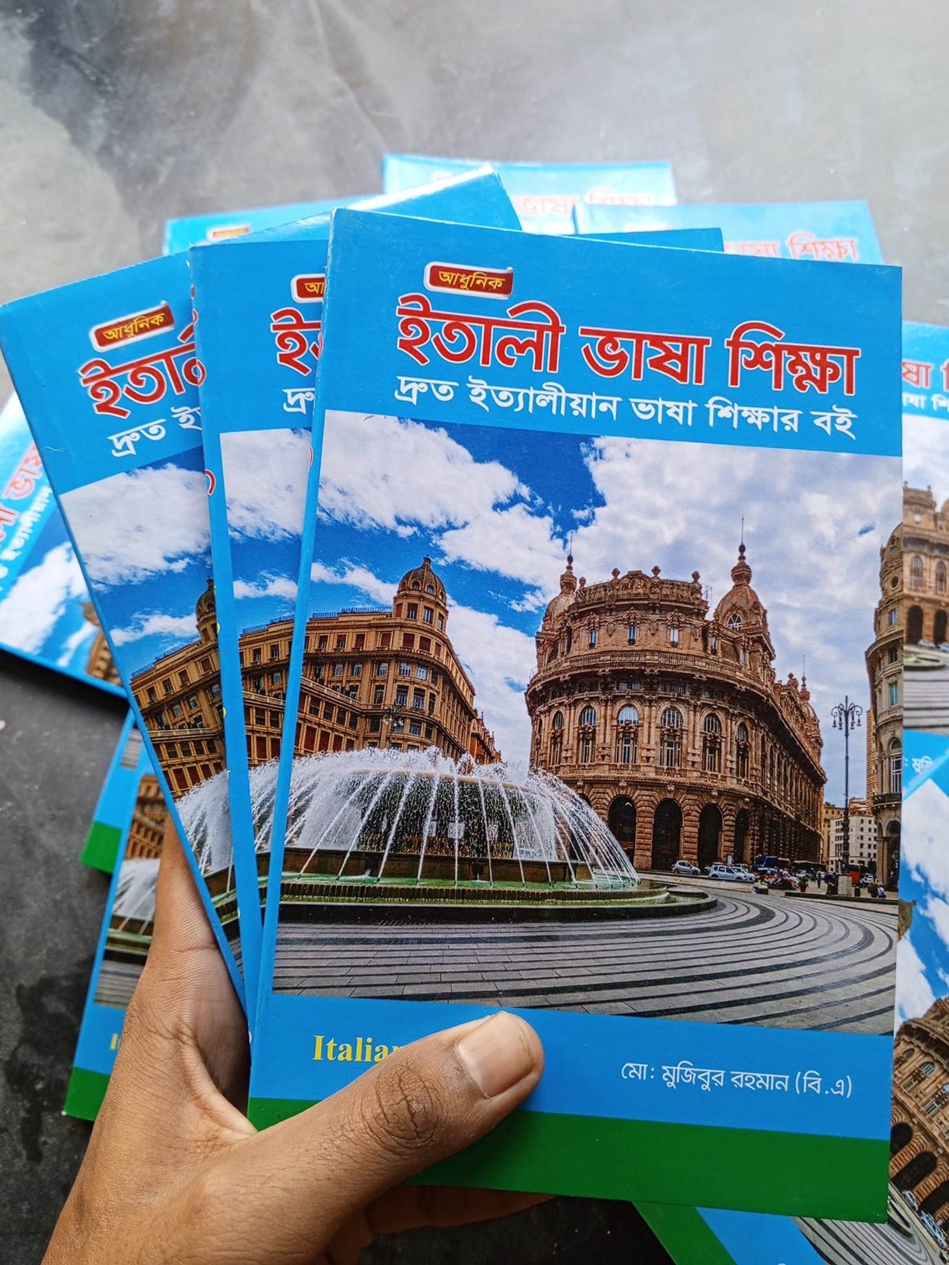 Italian Language Book