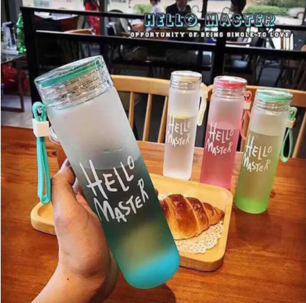 Hello Master 480ml Glass Water Bottle with Leakproof Lid