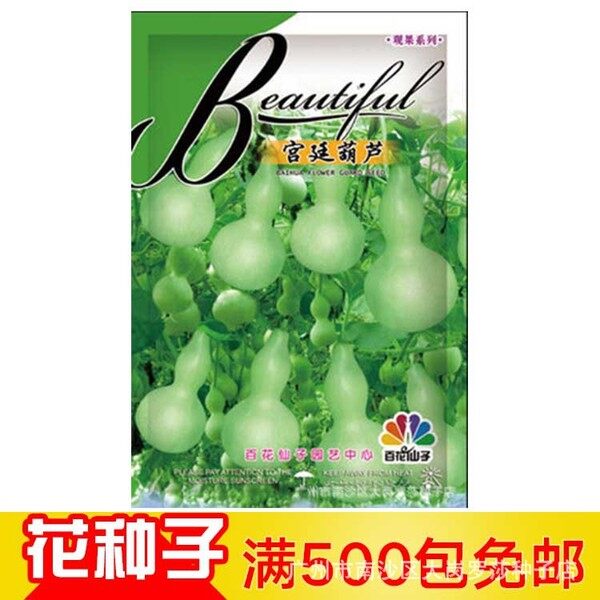 Intake Packet Chinese Ornamental Bottle Gourd seeds - 5 pcS (Imported ...