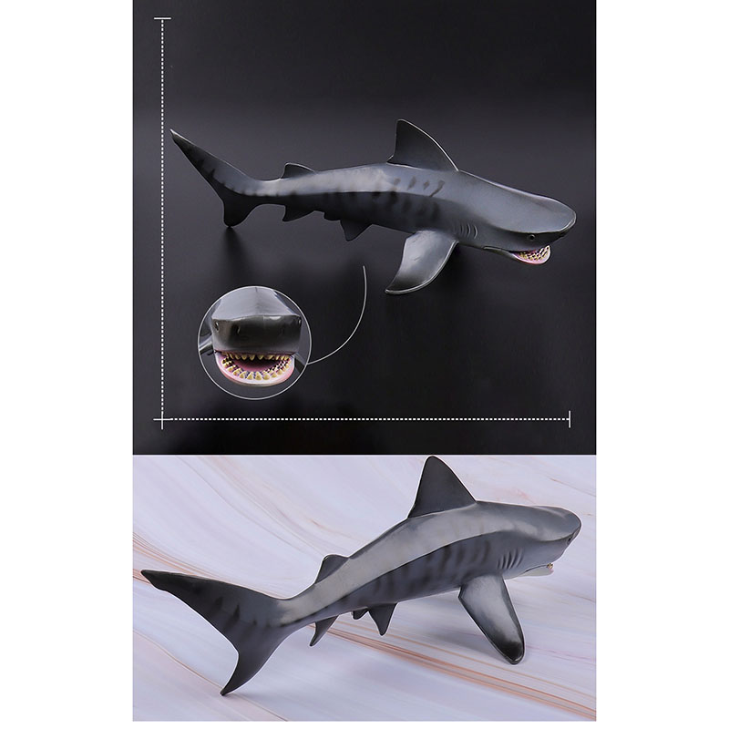 Tiger Shark In Action