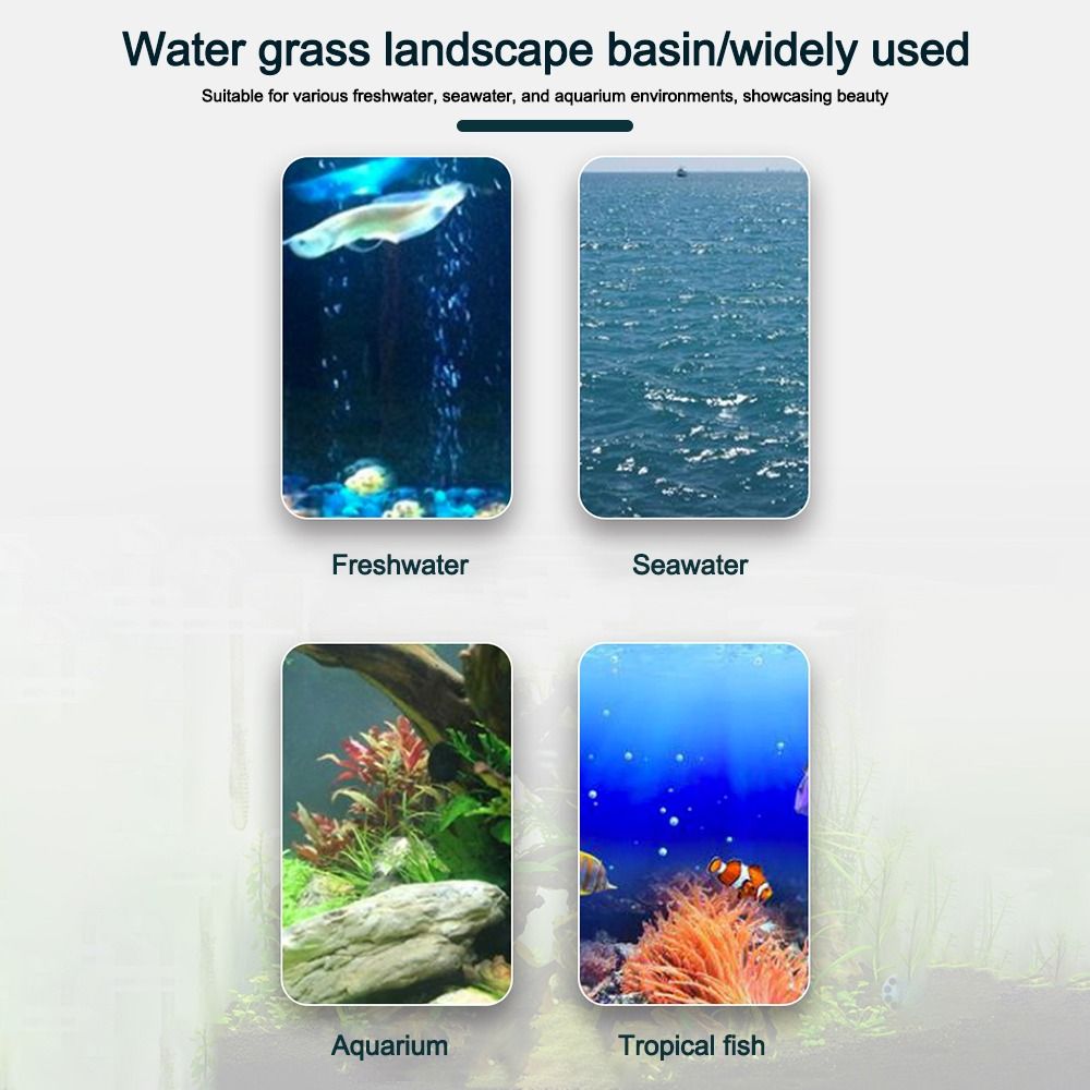 New Water Plant Landscape Fish Tank Hydroponic Planting Basket Planted ...