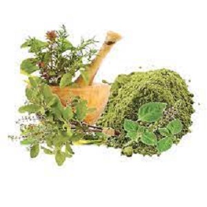 Holy Basil Powder 100gm Tulsi Pata Gura 100gm