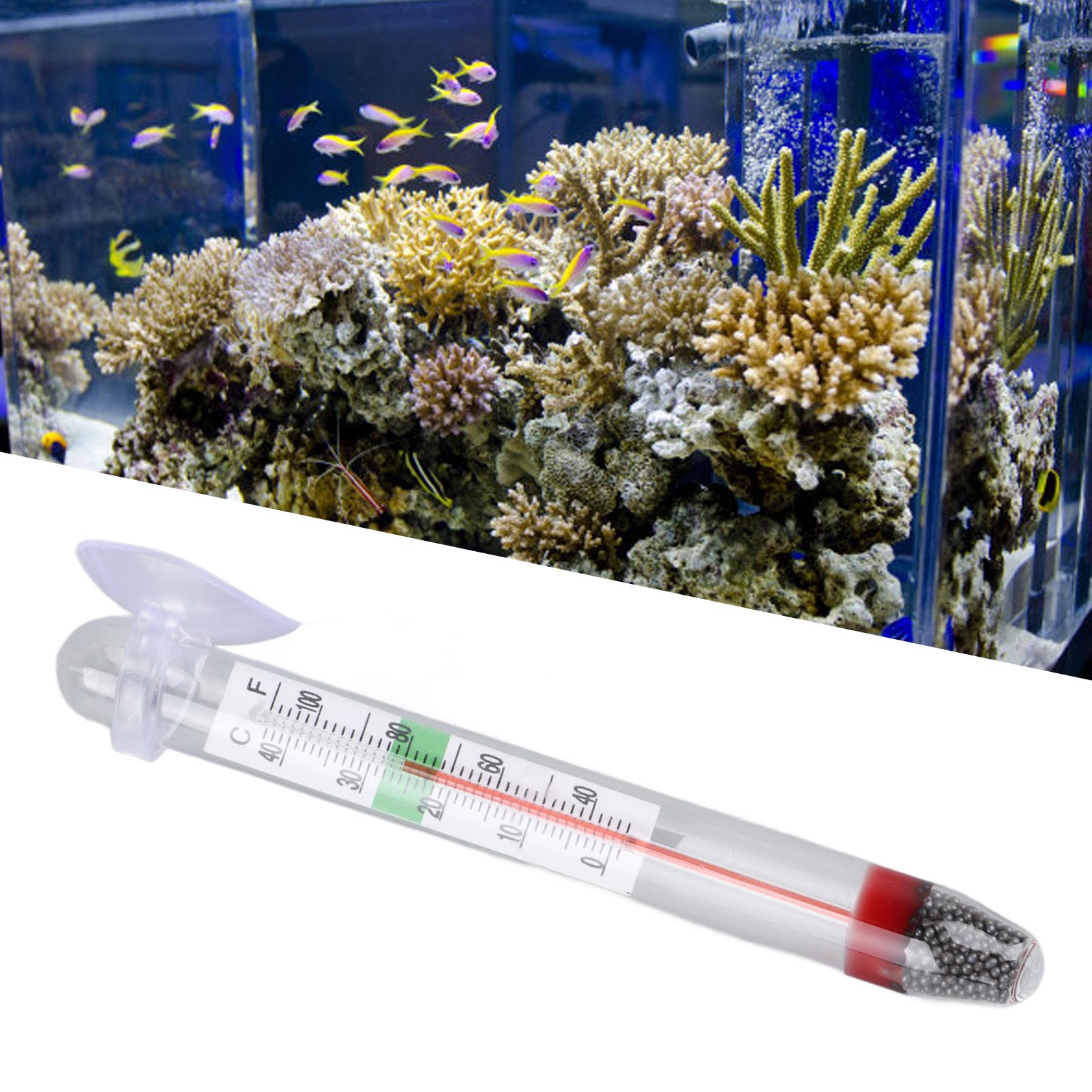 Floating Aquarium Thermometer Transparent Aquarium Thermometer Glass ...