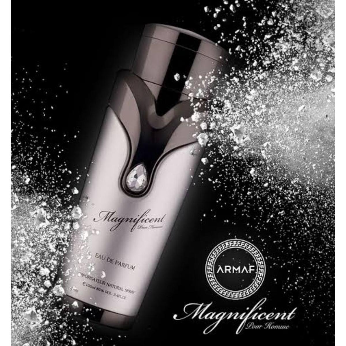 Armaf Magnificent Pour Homme 100 ml Perfume for Men | Daraz.com.bd