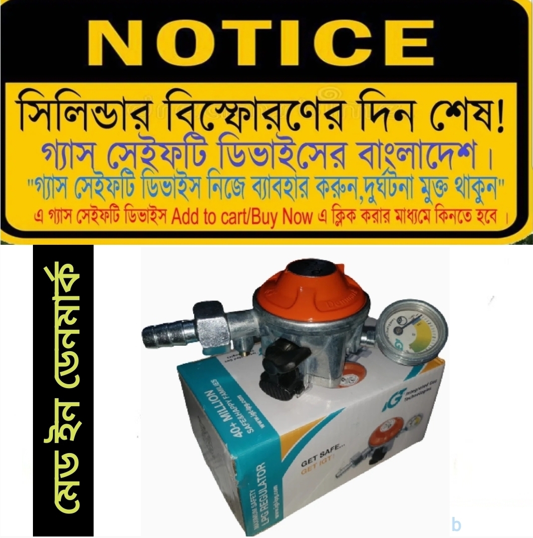 LPG Safety Device cum Meter Regulator (22MM) | Daraz.com.bd
