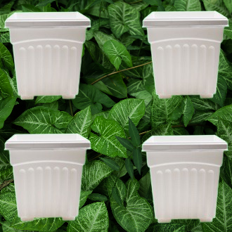 7 Inchi Square Tob White 4 Pcs Set - Flower Tub | Daraz.com.bd