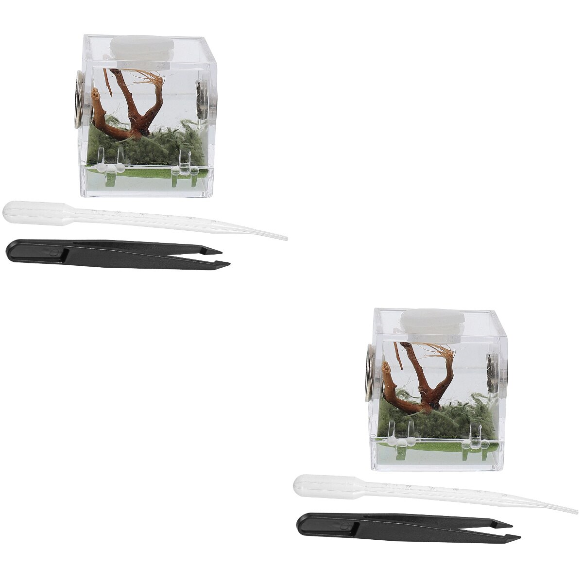 Spider Box Reptile Breeding Insect Jumping Cage Enclosure Tank ...