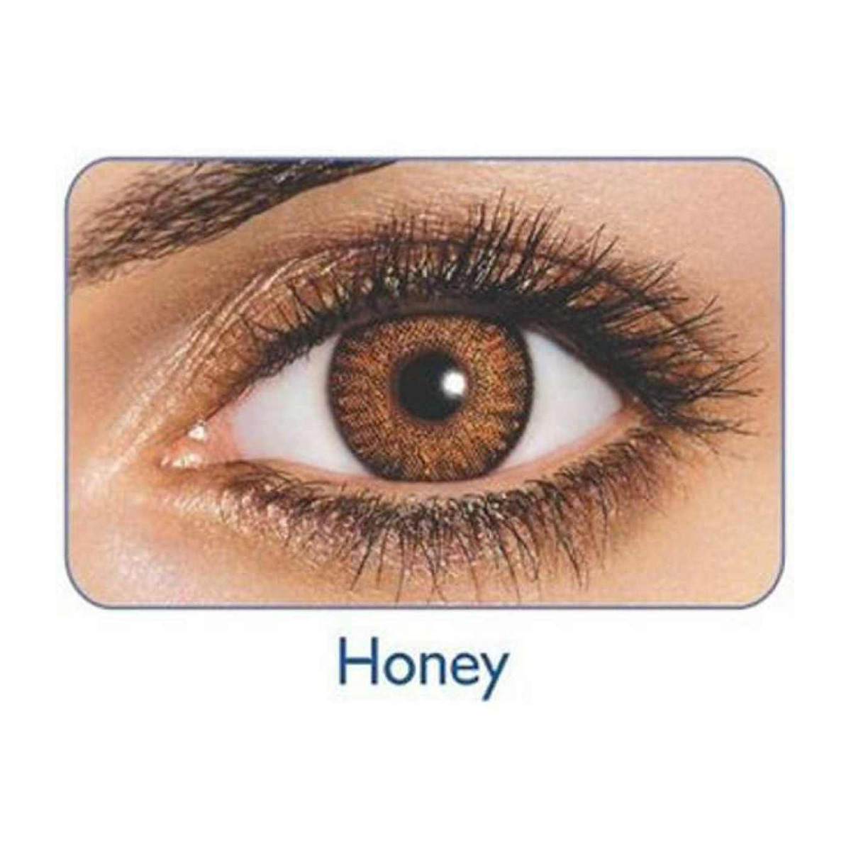 Freshlook Honey contact lens | Daraz.com.bd