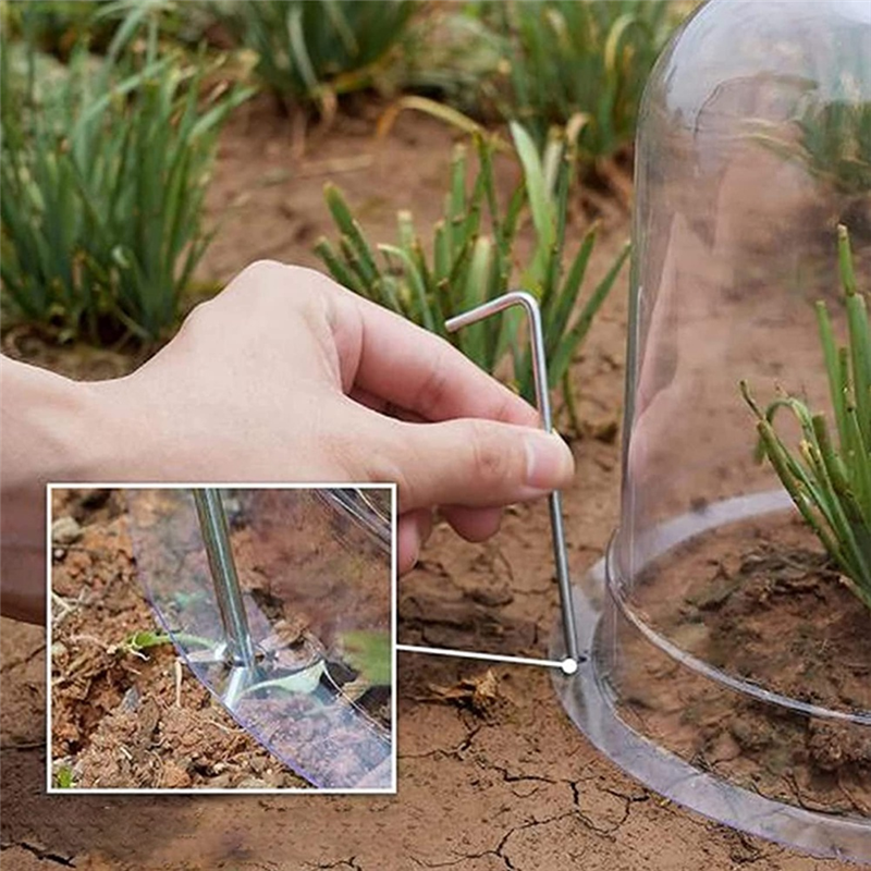 Reusable Garden Plant Cloche, Plant Dome Bell Cover Plastic Mini ...
