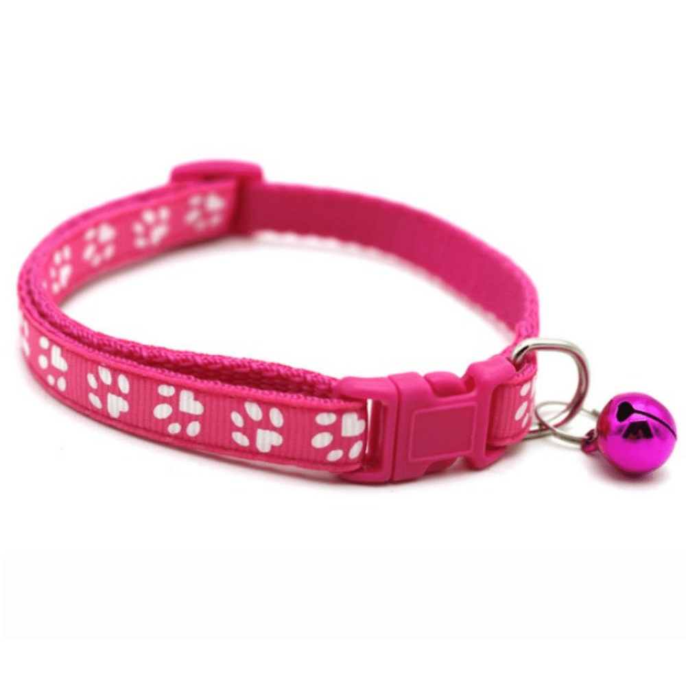 Customizable pet name tag | Daraz.com.bd