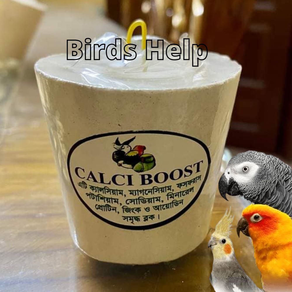 Calci Boost (Birds Calcium & Mineral block) 2pc | Daraz.com.bd