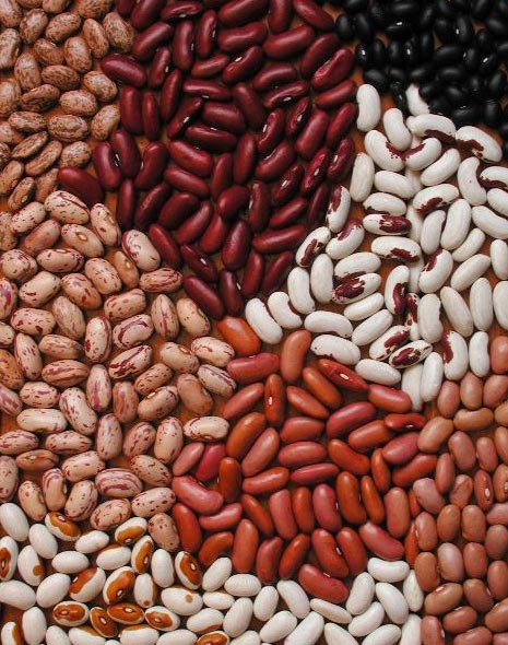 MIx Kidney Beans/ Rajma (Chitra + Black)- 500 gm | Daraz.com.bd