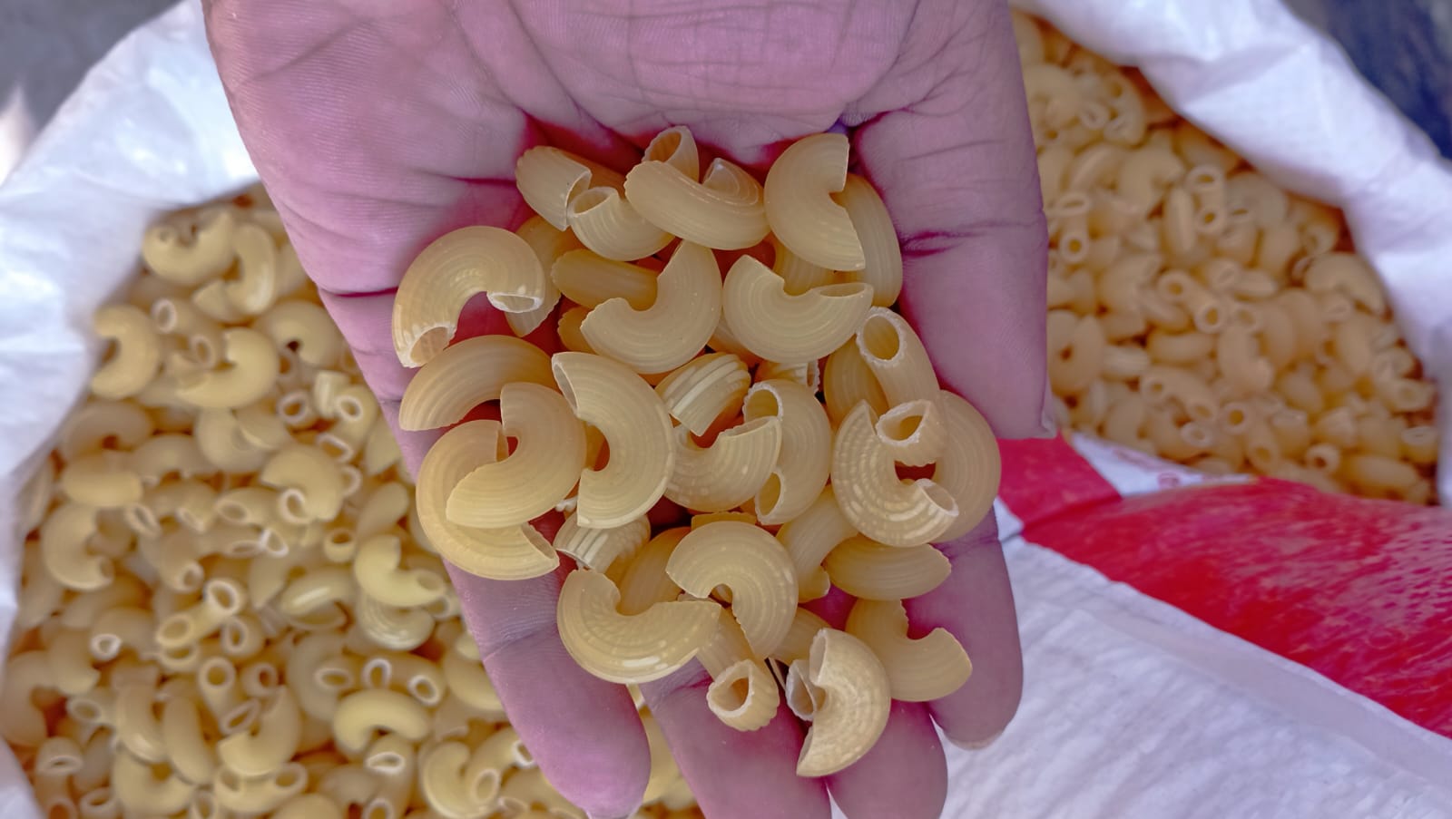 Pasta Premium Special Quality (Macaroni) 250gm | Daraz.com.bd