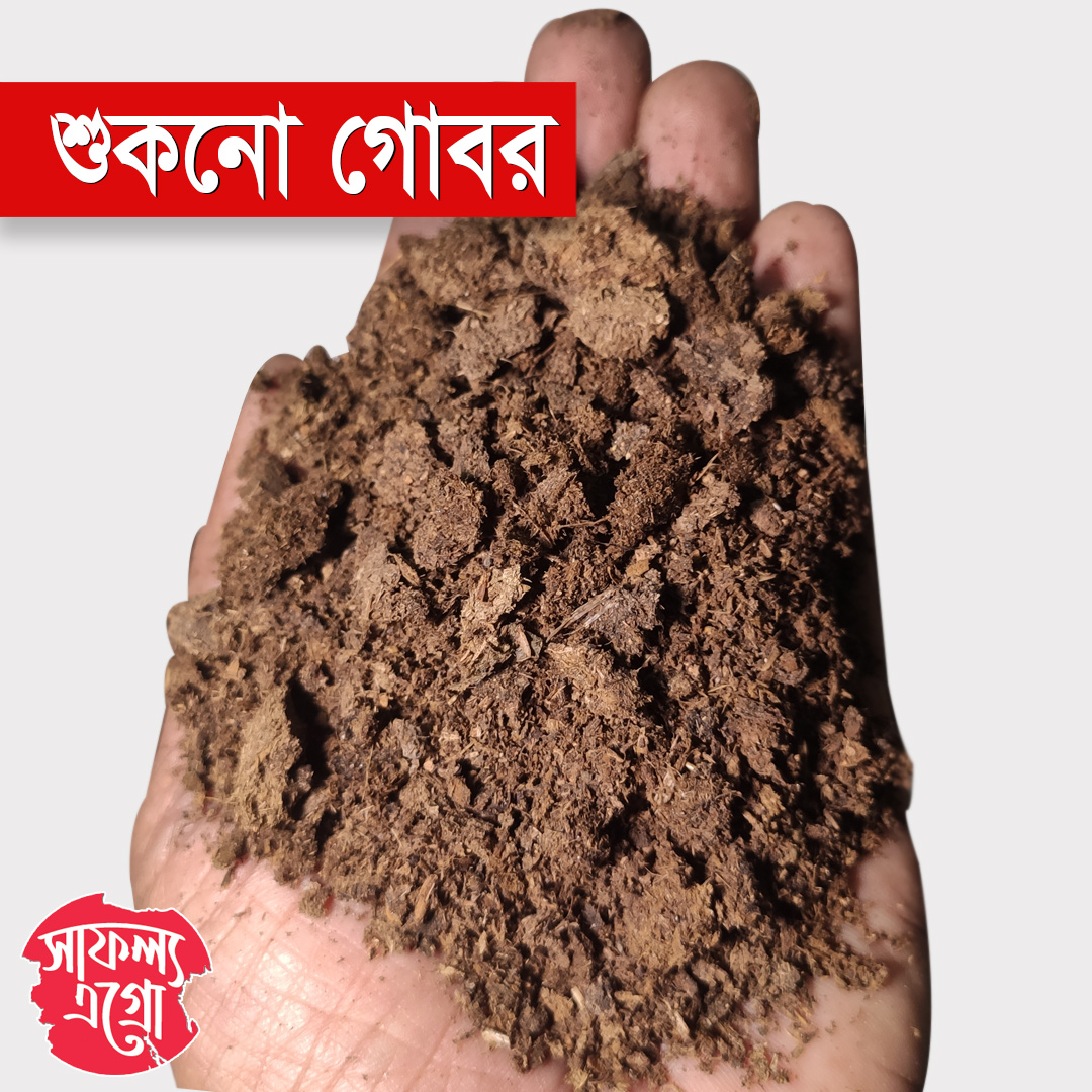 Cow Dung Dust (Zero Moisture) - Organic Fertilizer for Home Plants ...